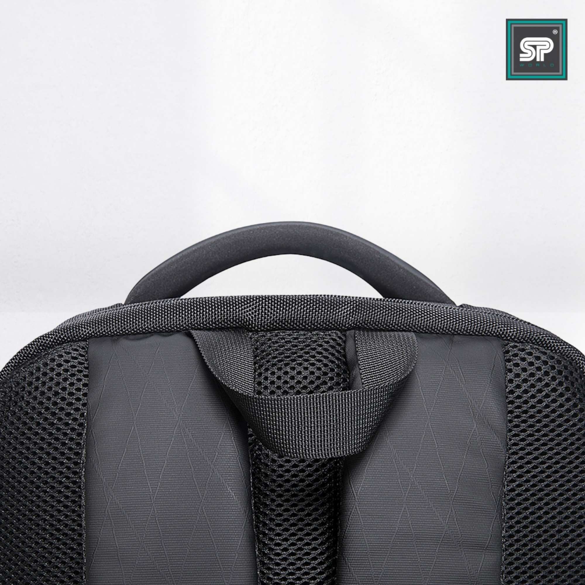 Sparrow Bruno Winner ranac - Sparrow World